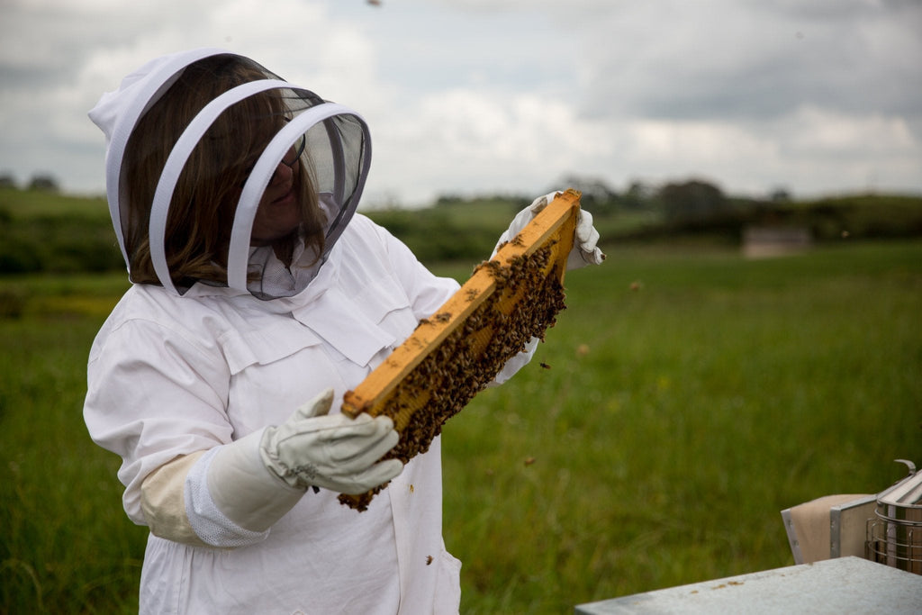 The hidden health benefits of bee venom - Manuka Doctor UAE